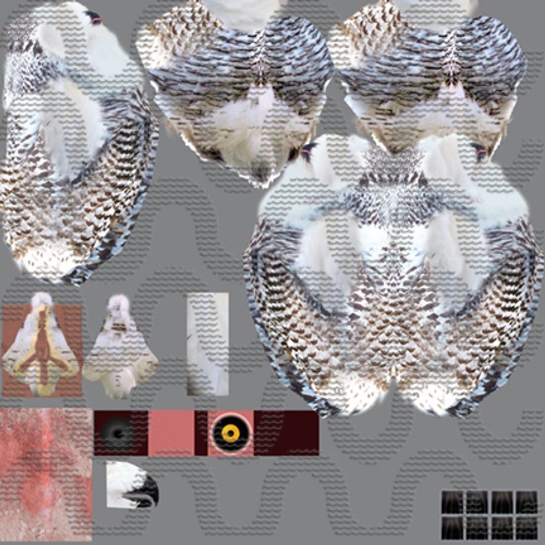 Sown Owl-BLENDER 3D model - TurboSquid 1937970