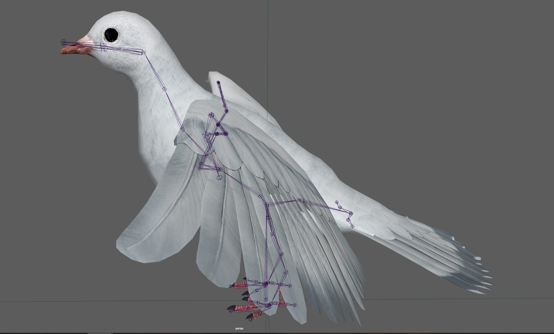Dove White Pigeon 3D Model - TurboSquid 2044438