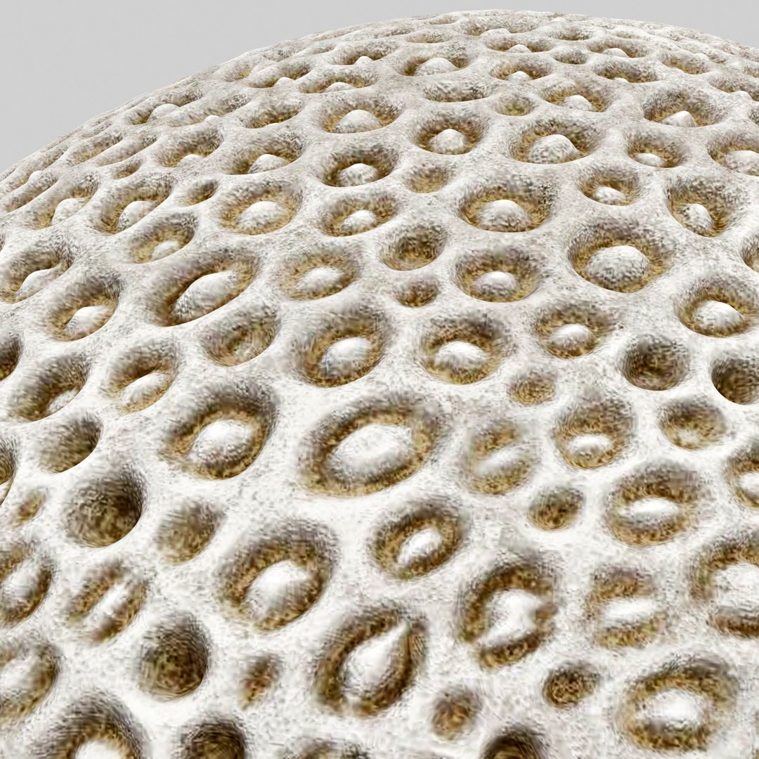 3d Model Biology Microbe