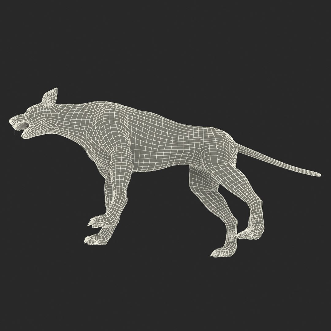 3d model hellhound fur rigged