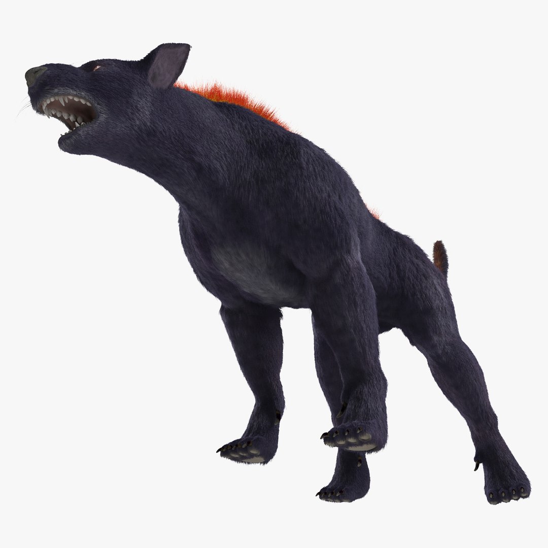 3d model hellhound fur rigged