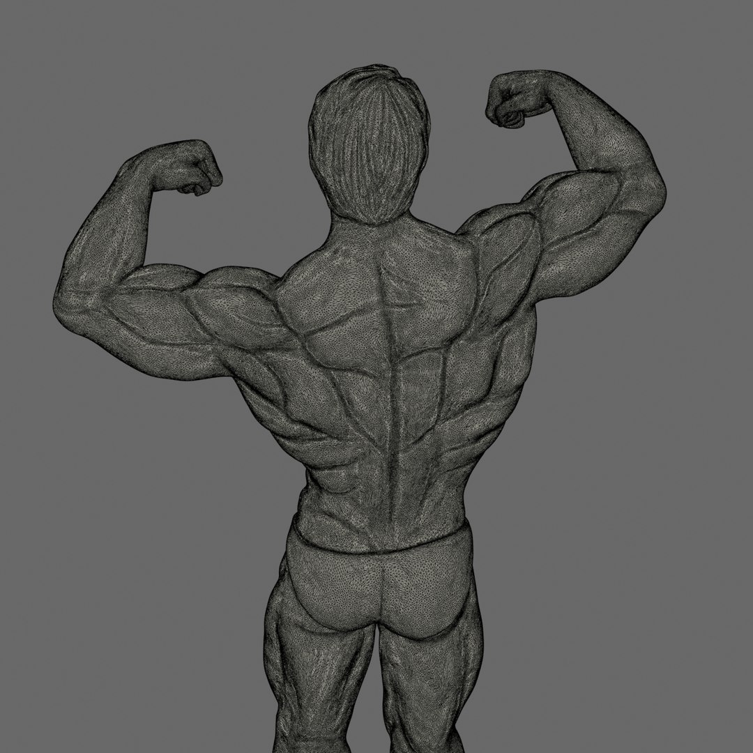 Bodybuilder Sculpture Max