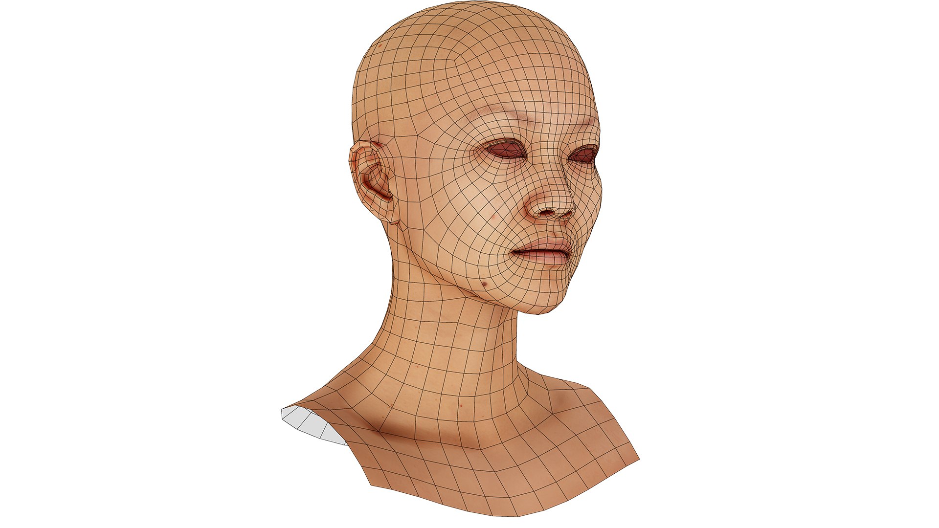 Retopologized Head Scan Miyaguchi Hoshie 3D Model - TurboSquid 1801026