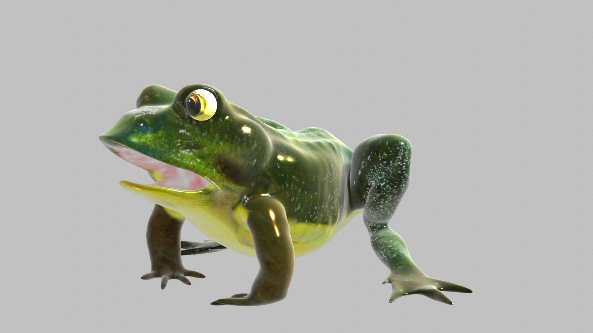 Frog With Basic Rig 3D Model - TurboSquid 1763322