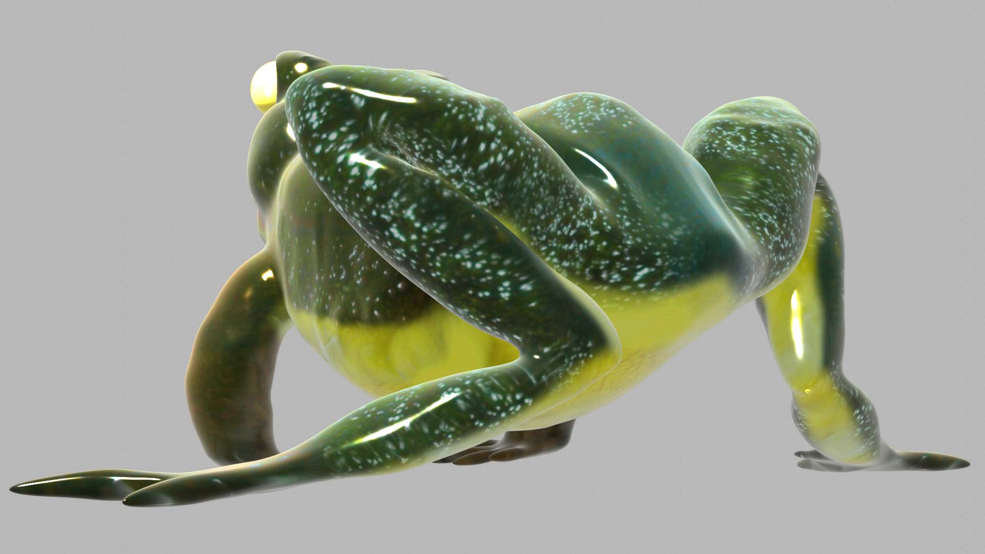 Frog With Basic Rig 3D Model - TurboSquid 1763322