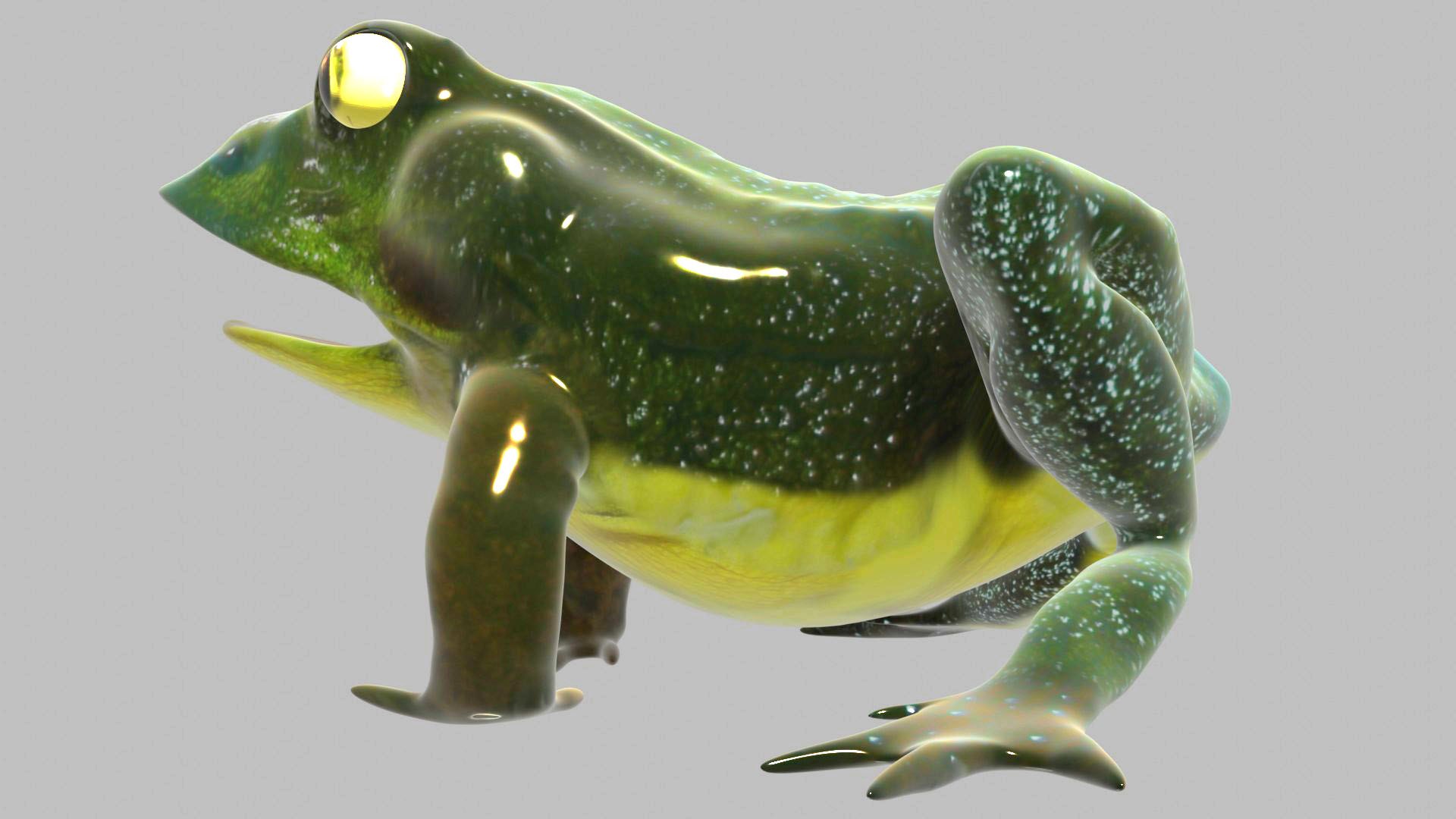 Frog With Basic Rig 3D Model - TurboSquid 1763322