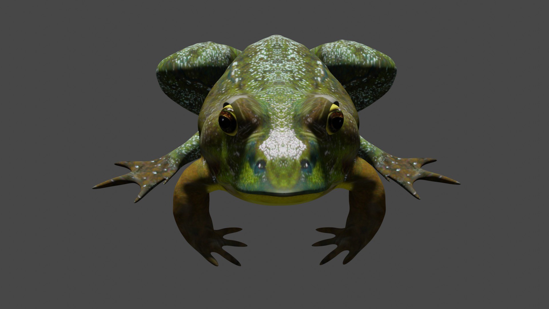 Frog With Basic Rig 3D Model - TurboSquid 1763322