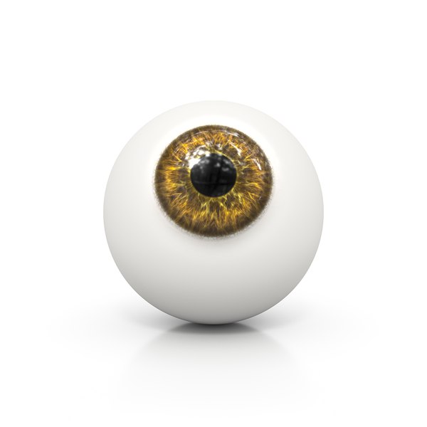 Free Blender Eye Models | TurboSquid