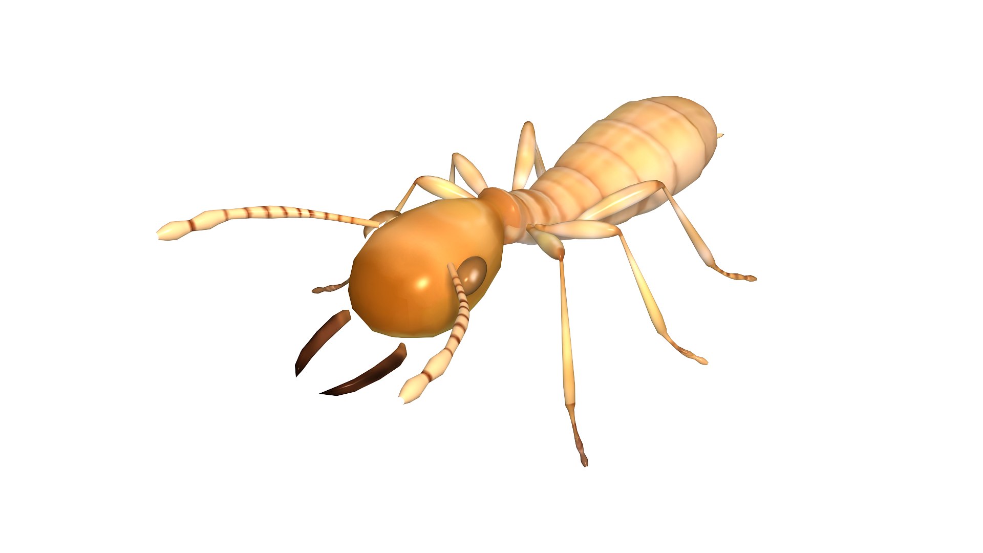 Rigged animated termite white ant model - TurboSquid 1937246
