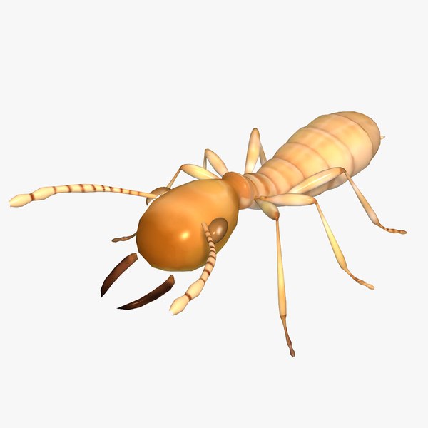 Rigged animated termite white ant model - TurboSquid 1937246