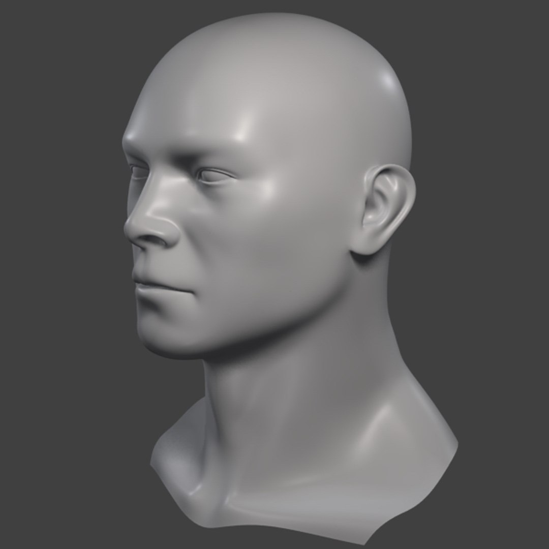 3d Model Realistic Male Head