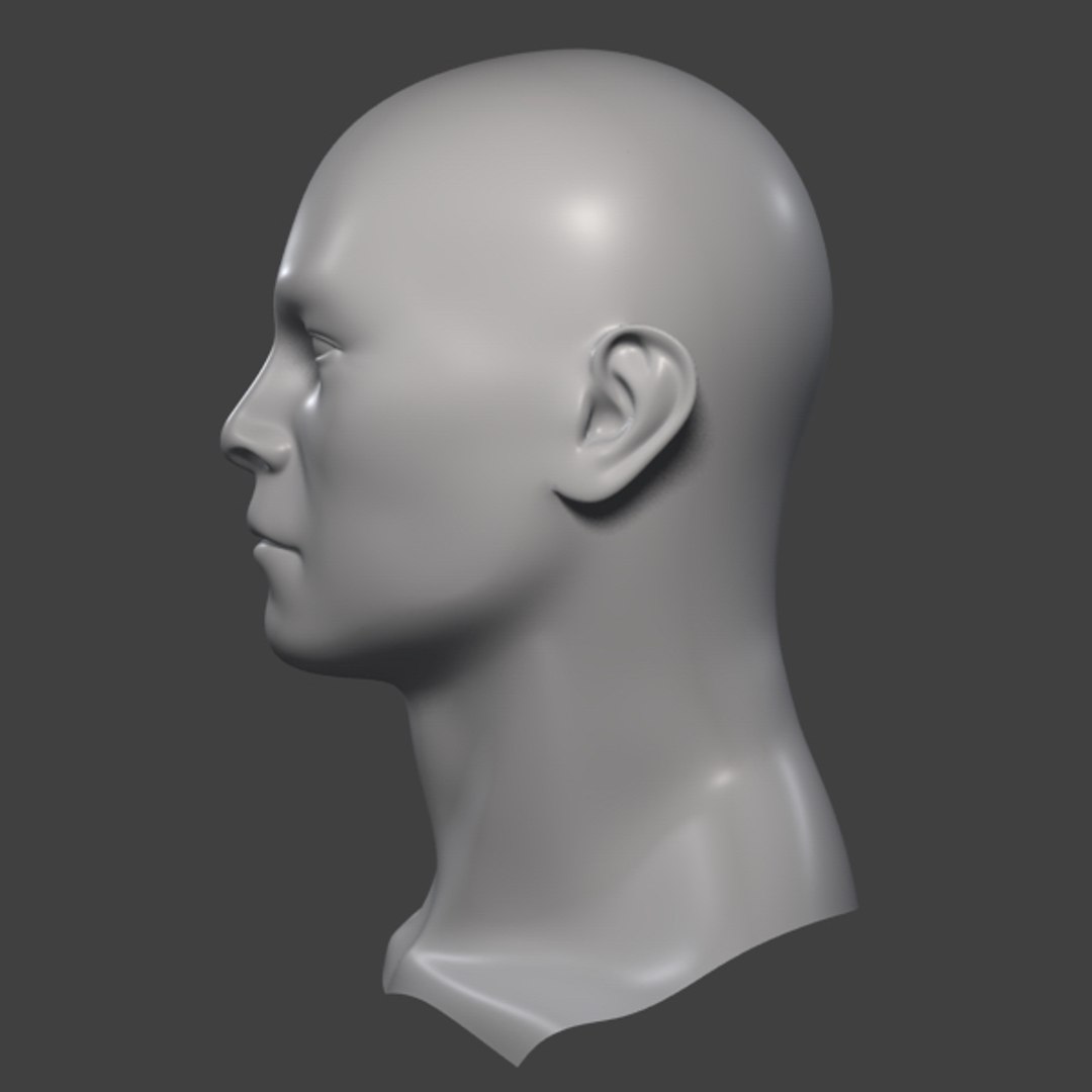 3d Model Realistic Male Head