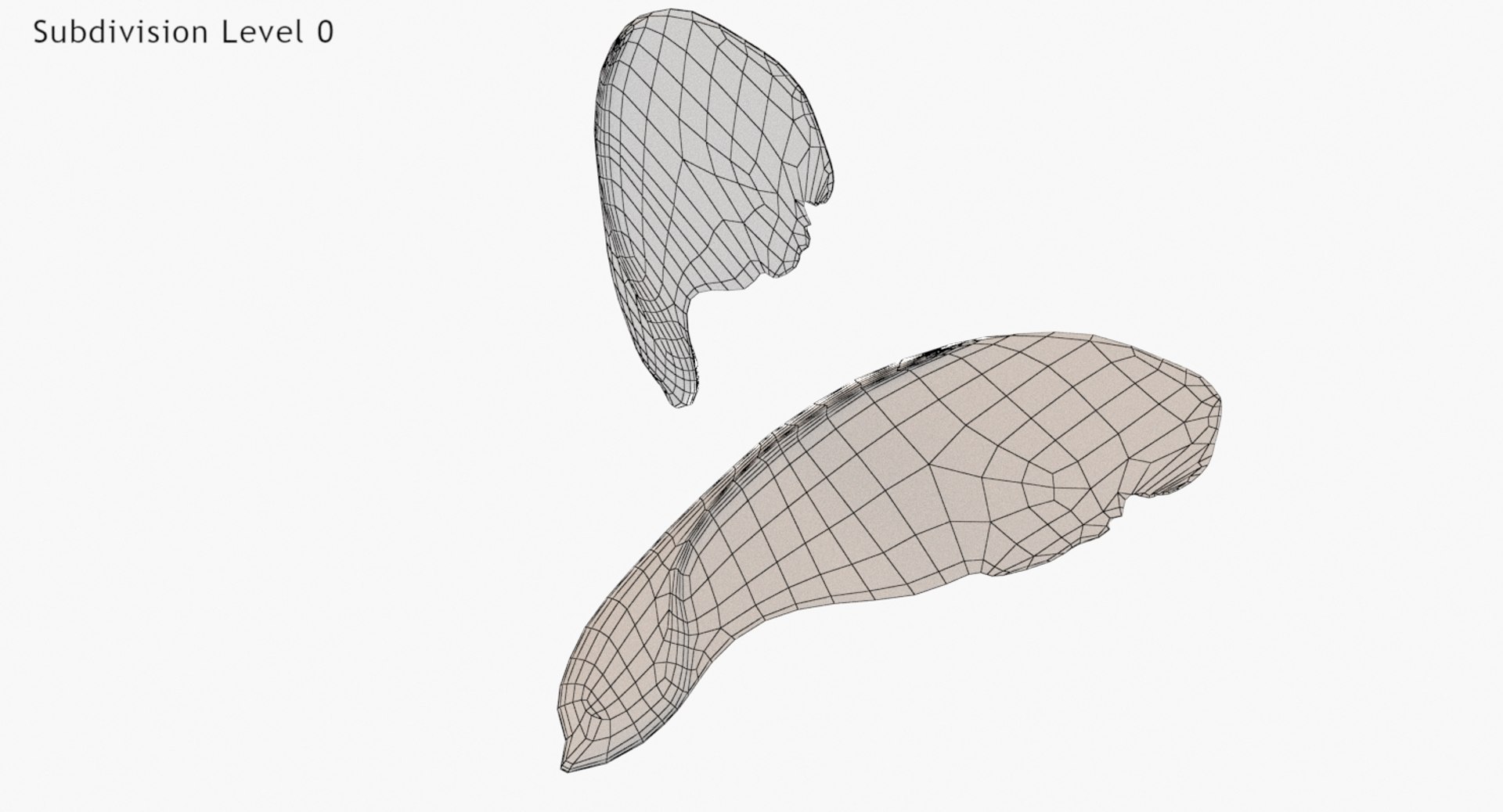 3D Maple Seed - TurboSquid 1404033