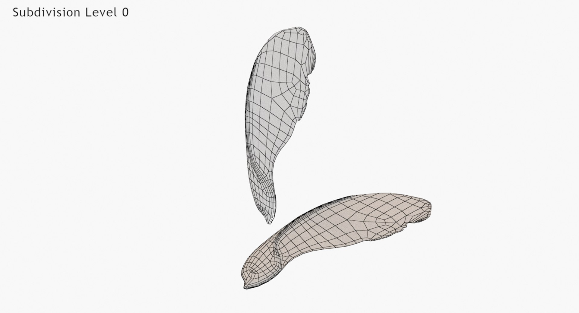 3D Maple Seed - TurboSquid 1404033