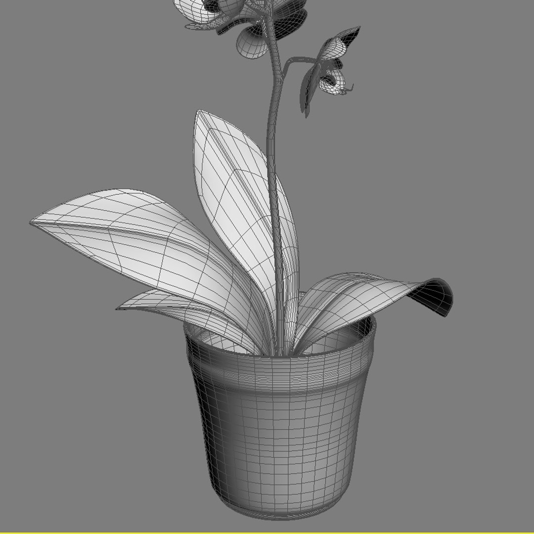 Realistic Orchid Flower Red Rose 3d 3ds