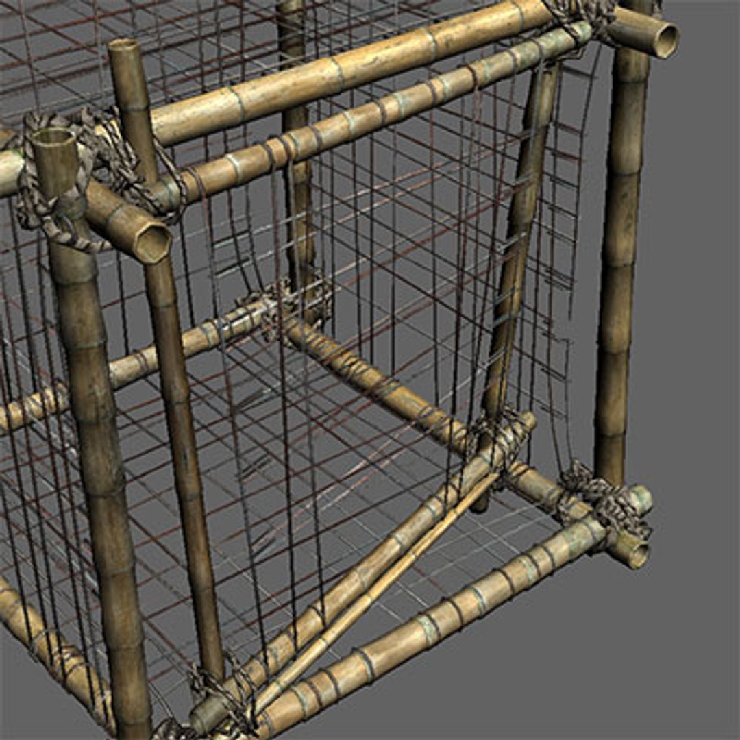 Bamboo Cages Animals 3d Model