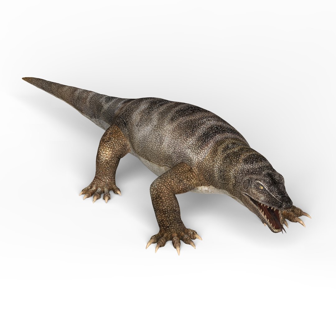 3D Komodo Dragon Model - TurboSquid 1517819