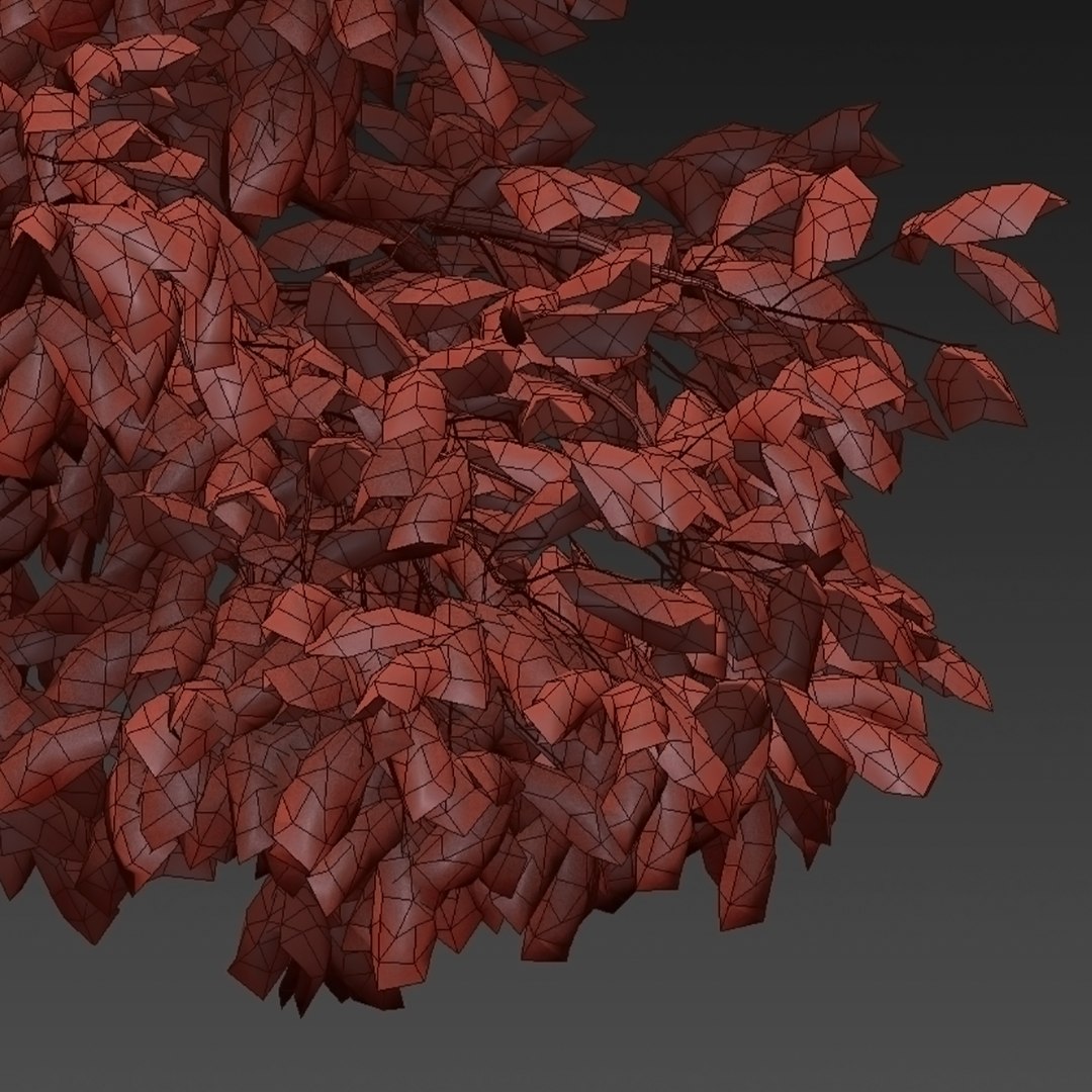 Autumn Alnus Glutinosa 3D Model - TurboSquid 1956943