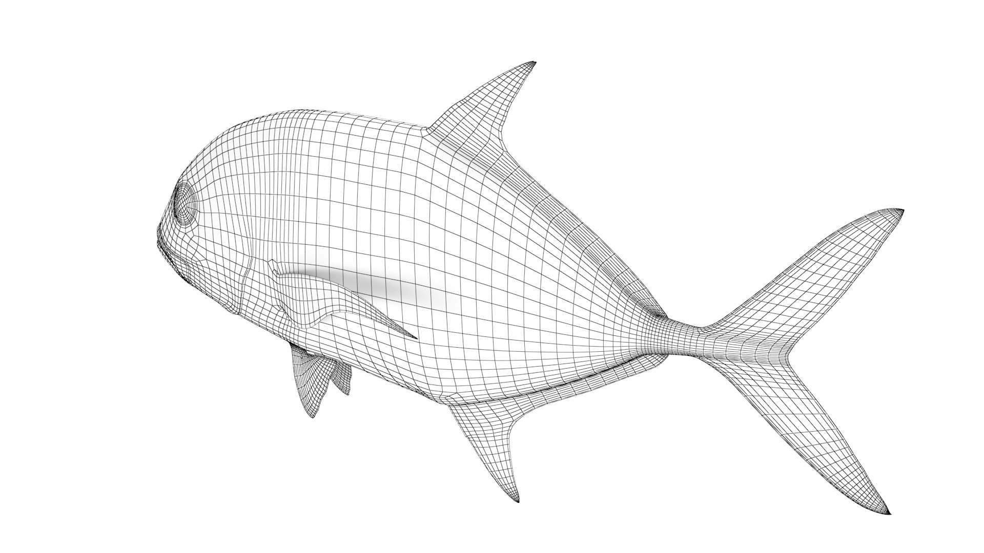 Trevally 3D Model - TurboSquid 1927314