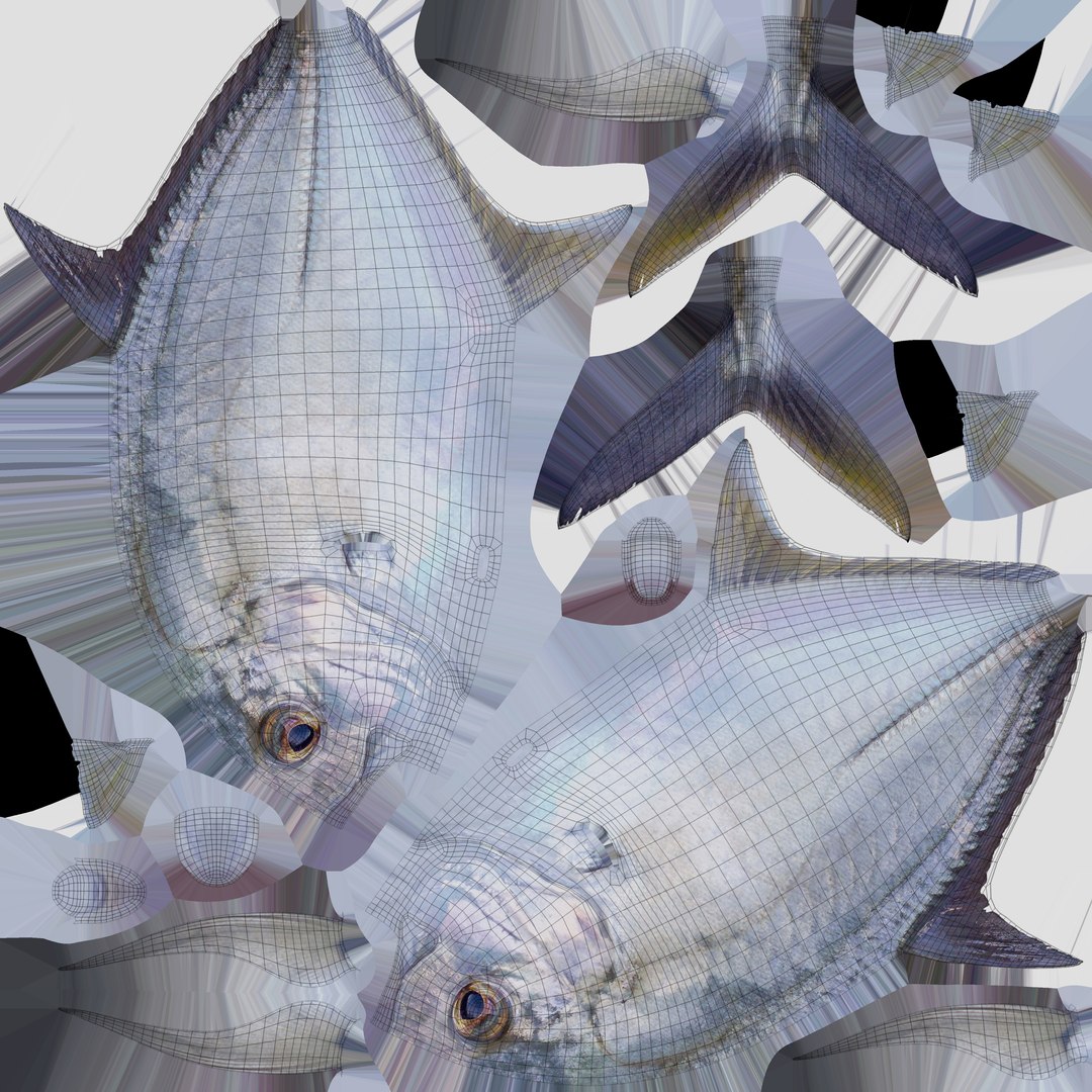 Trevally 3D Model - TurboSquid 1927314