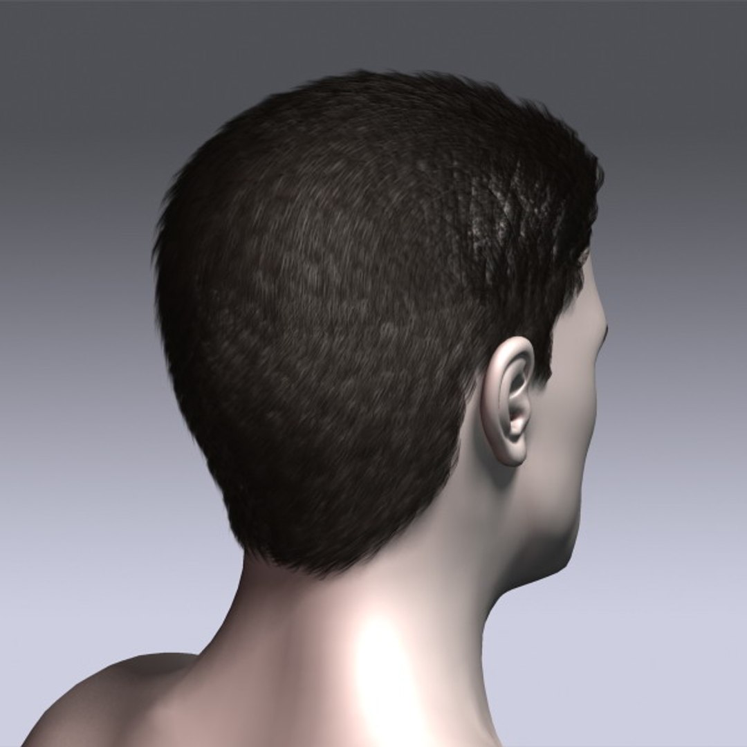 3d Max Mark Hair