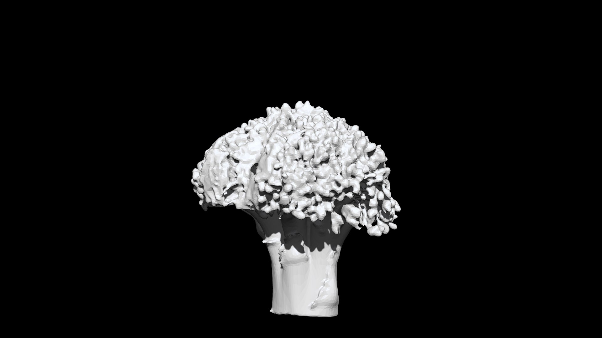 Broccoli Cut 3D CT Scan Model 5 Decimate50percent Model - TurboSquid ...