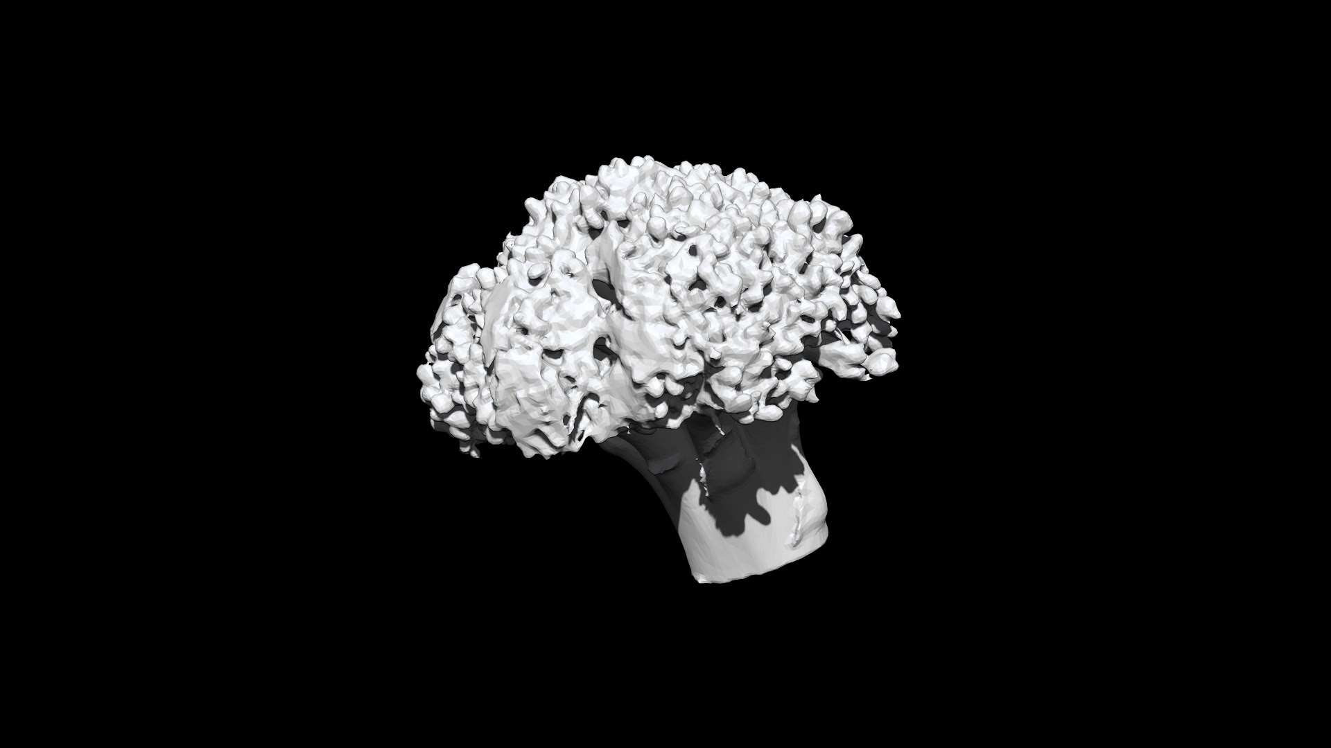 Broccoli Cut 3D CT Scan Model 5 Decimate50percent Model - TurboSquid ...