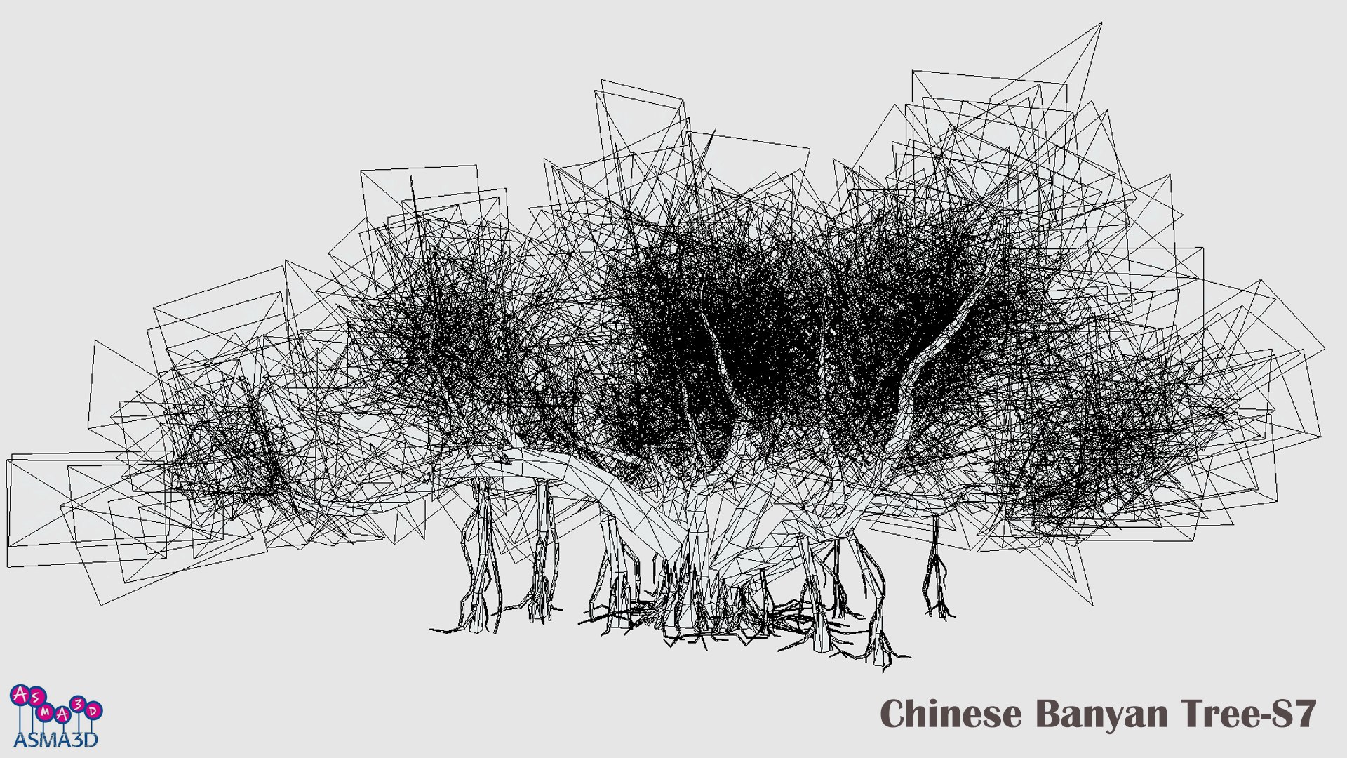 Chinese Banyan Tree-S7 3D Model - TurboSquid 2203247