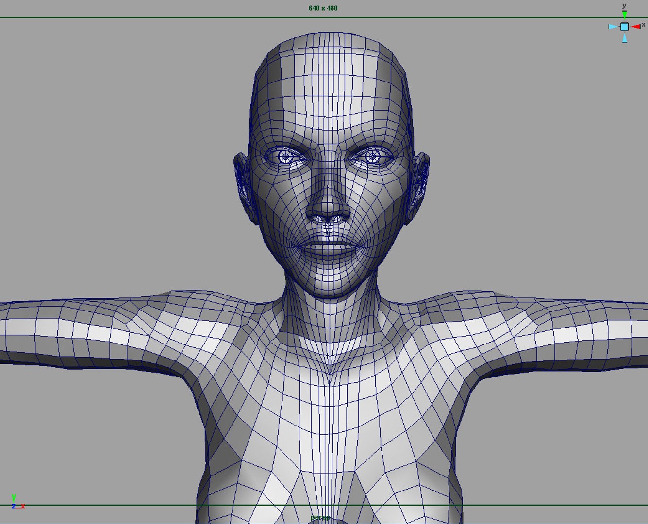 Human Female 3d Model