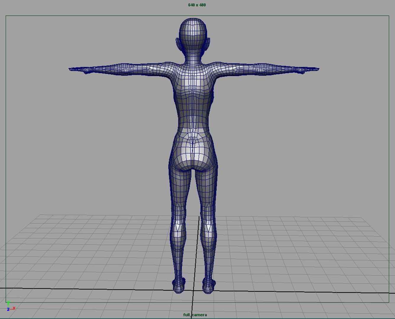 Human Female 3d Model