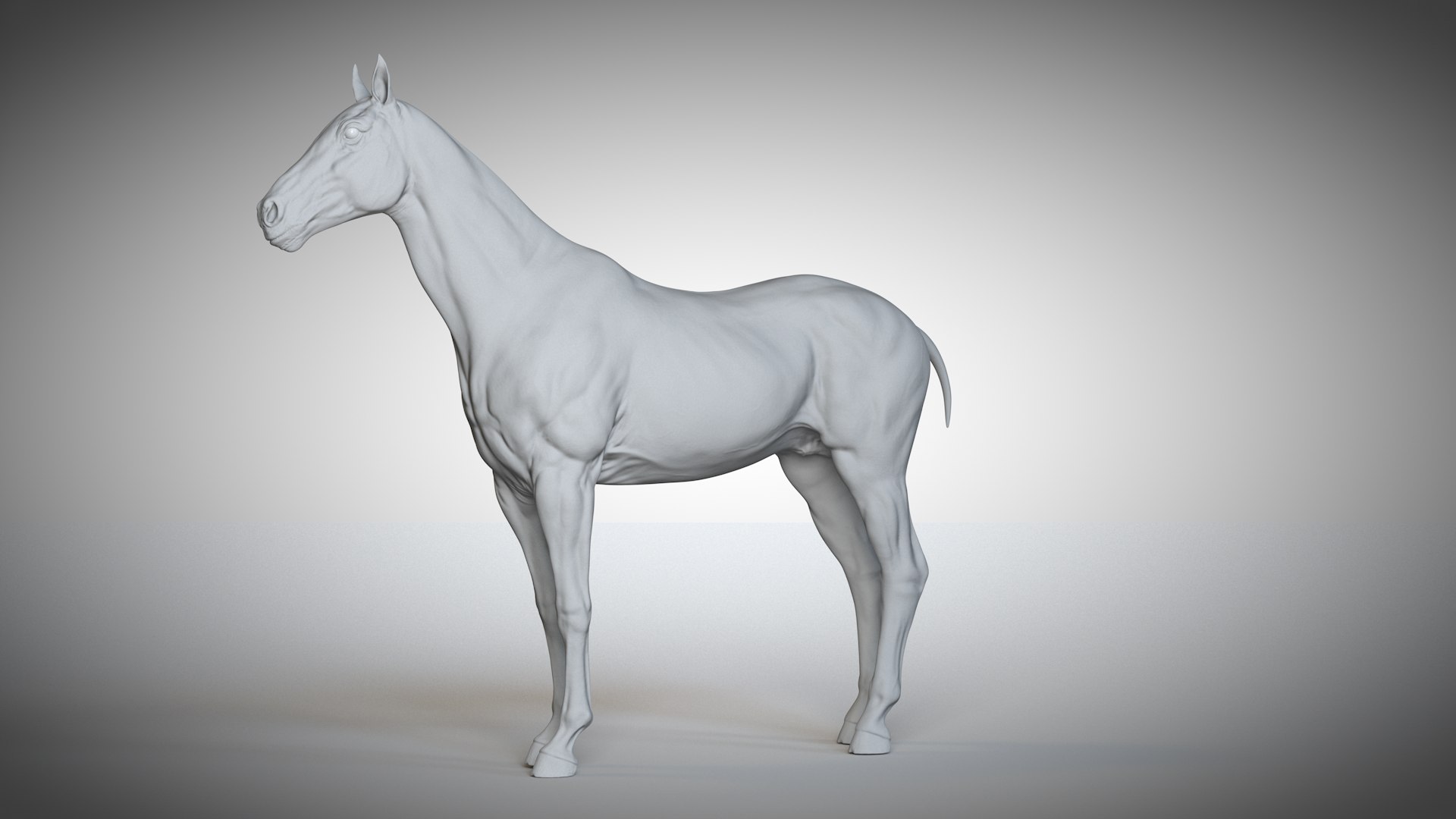 3D Rigged Stallion Horse Model - TurboSquid 1645830