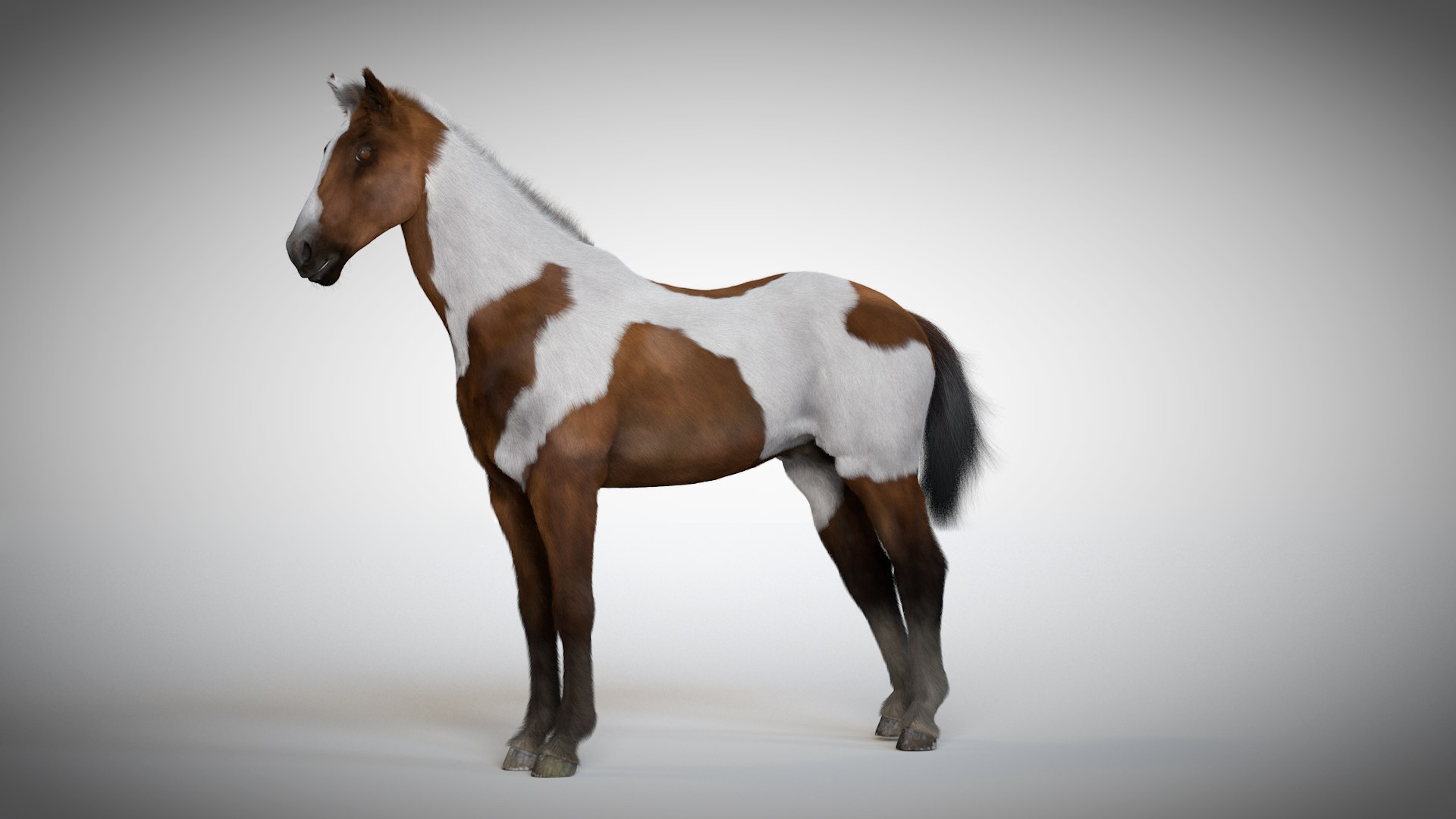 3D Rigged Stallion Horse Model - TurboSquid 1645830