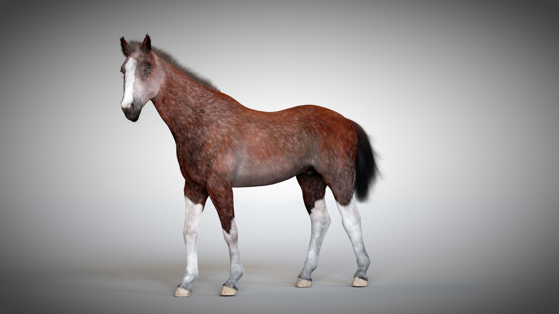 3D Rigged Stallion Horse Model - TurboSquid 1645830