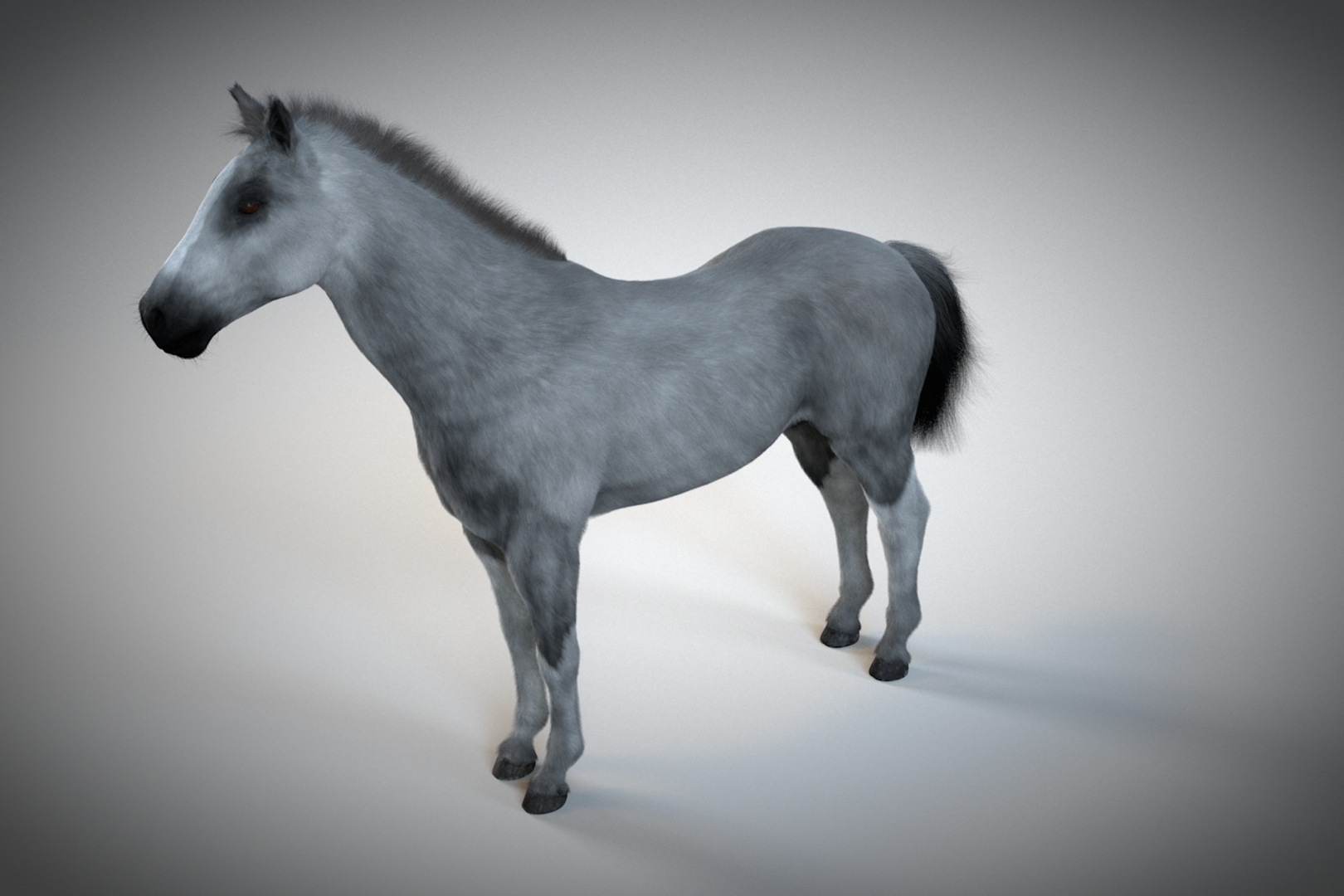3D Rigged Stallion Horse Model - TurboSquid 1645830