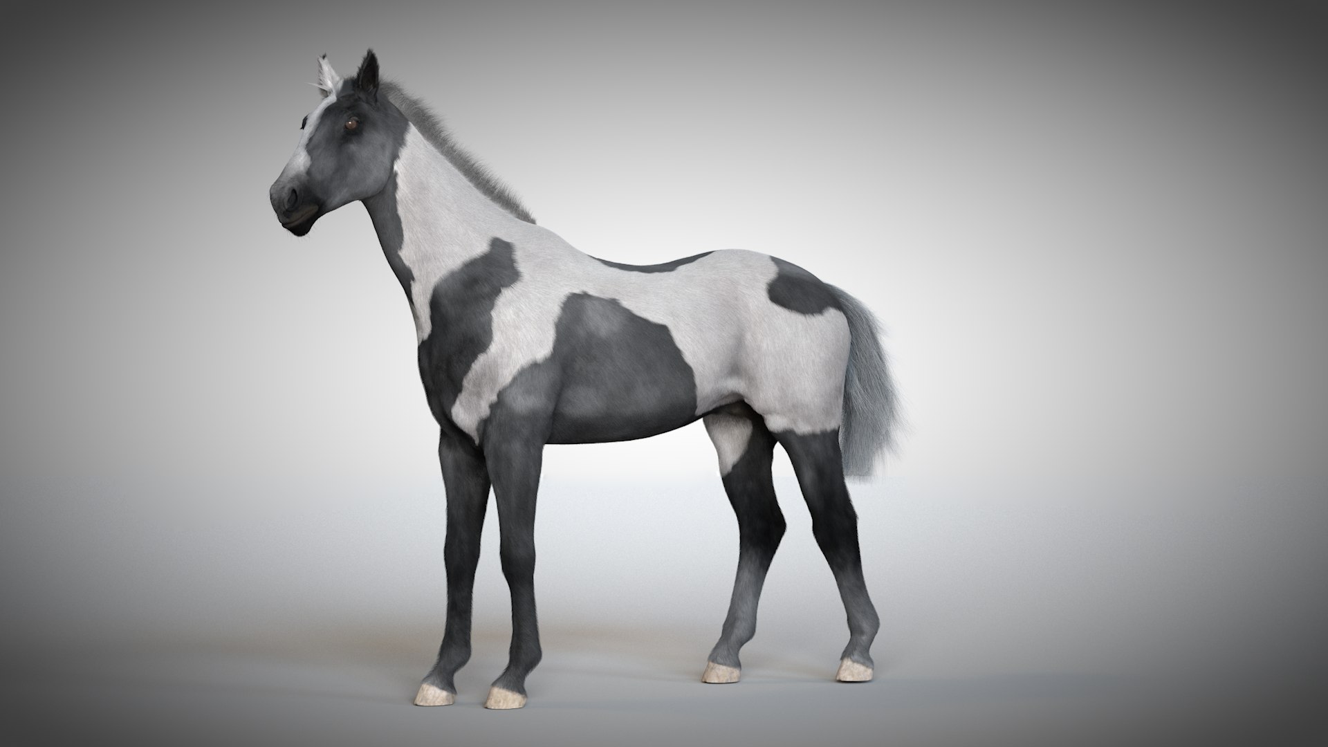 3D Rigged Stallion Horse Model - TurboSquid 1645830