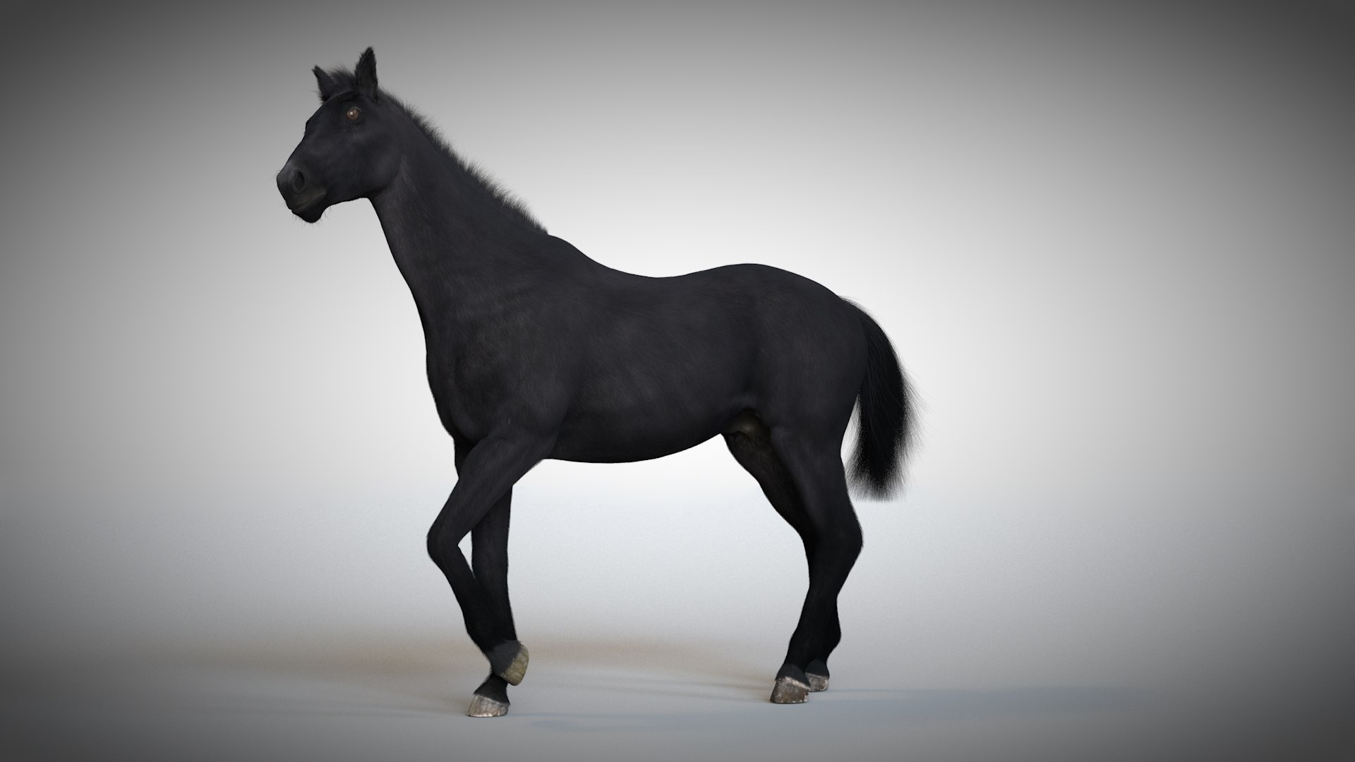 3D Rigged Stallion Horse Model - TurboSquid 1645830