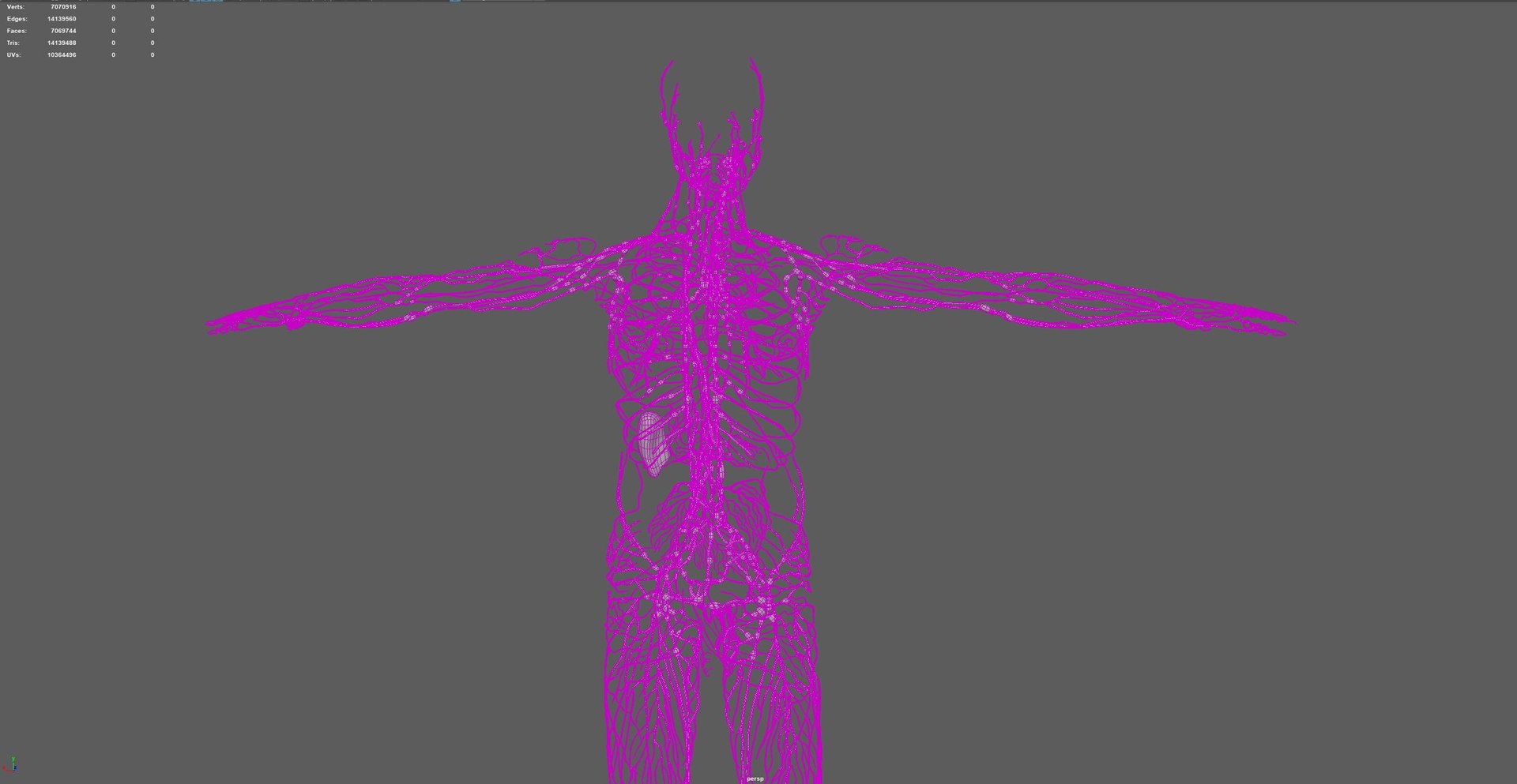 3D Lymphatic System - TurboSquid 1834788