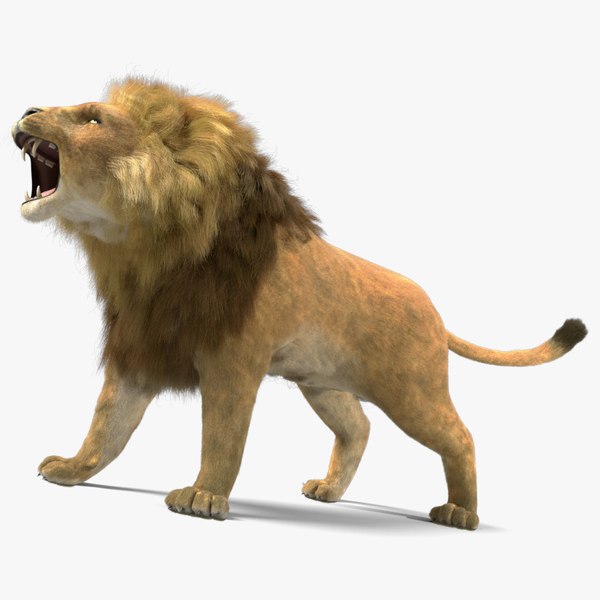 modelo 3d León (ANIMADO) (PIEL) - TurboSquid 1122001