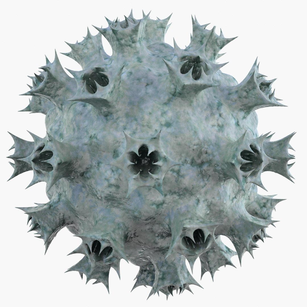 3dsmax micro object mht