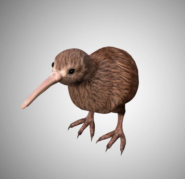 Kiwi Bird 3D Models for Download | TurboSquid