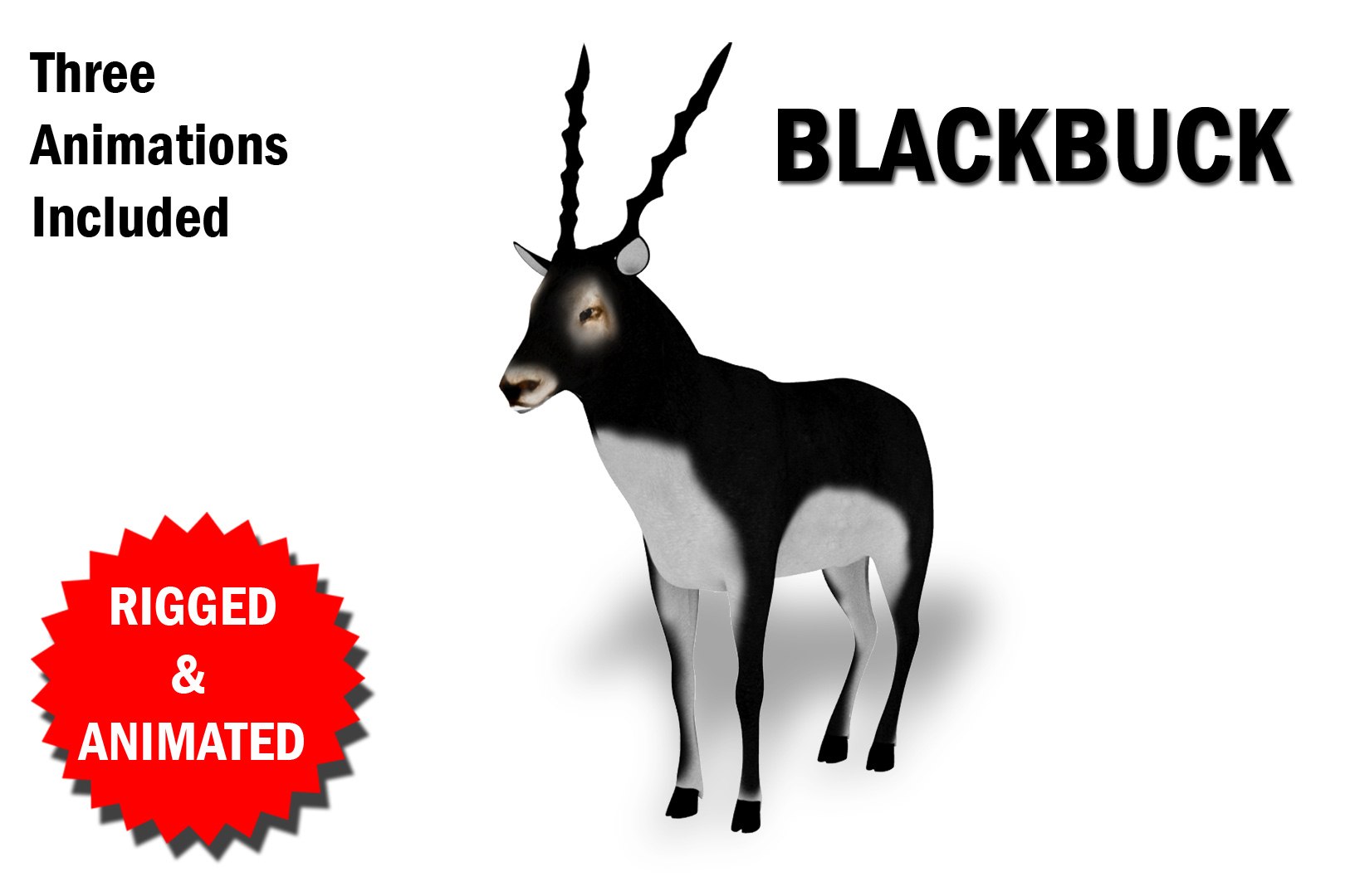 Rigged blackbuck animations 3D model - TurboSquid 1376419