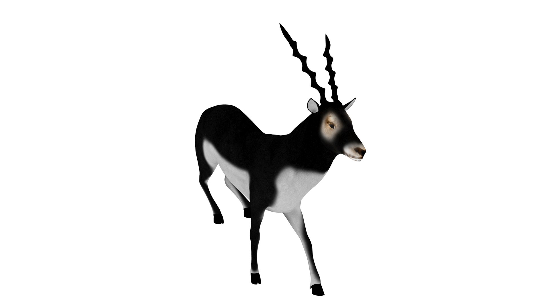 Rigged blackbuck animations 3D model - TurboSquid 1376419