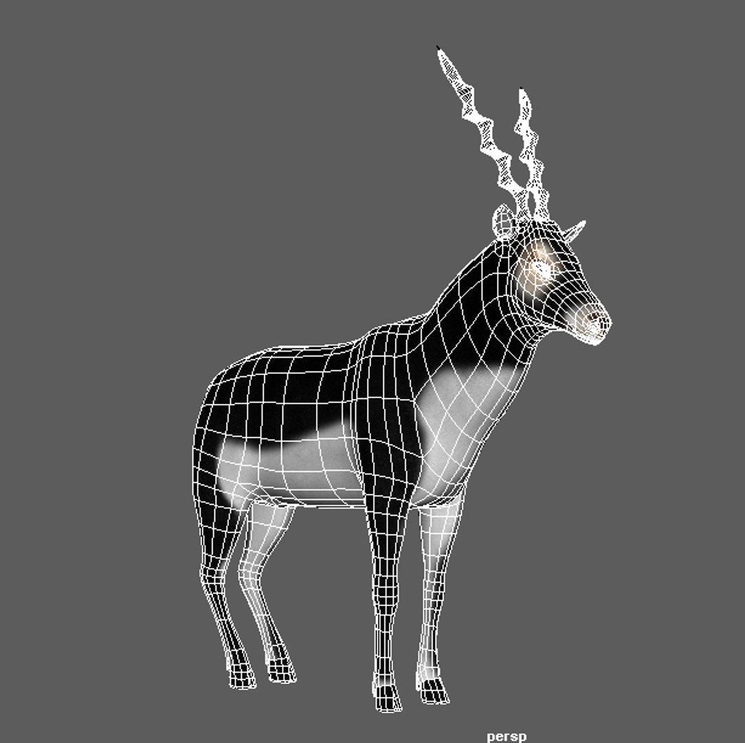 Rigged blackbuck animations 3D model - TurboSquid 1376419