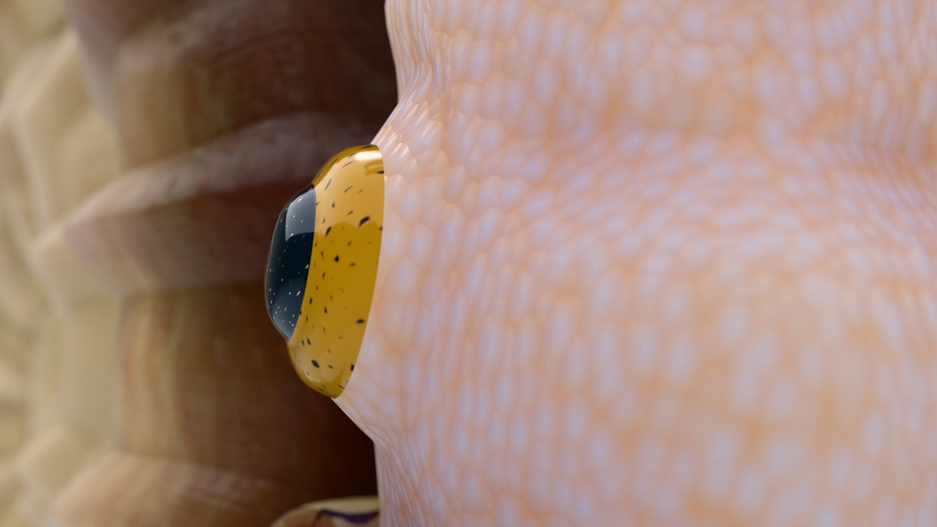 3D Ammonite - Ammonoids - Simple - TurboSquid 2337377