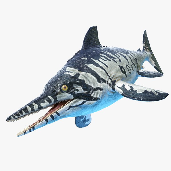 Ichthyosaur 3D model - TurboSquid 1662546