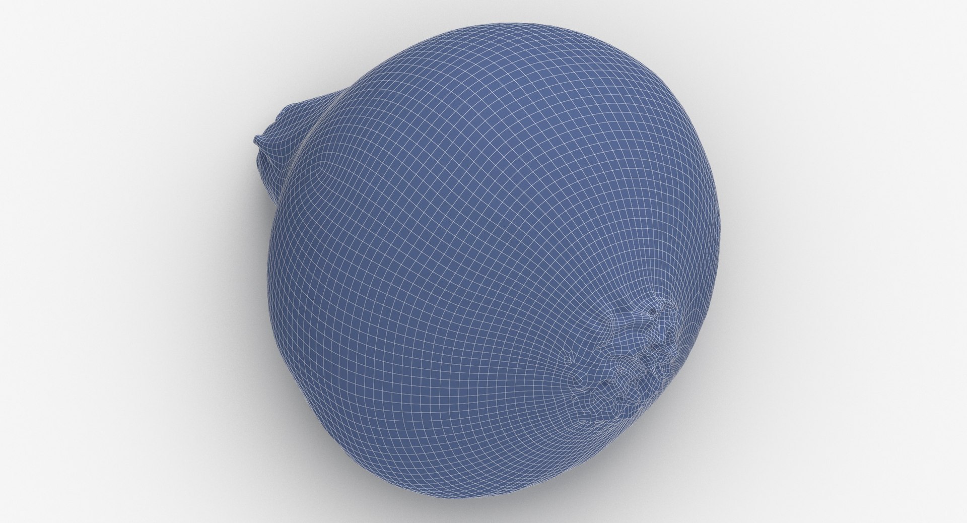 onion texture 3d