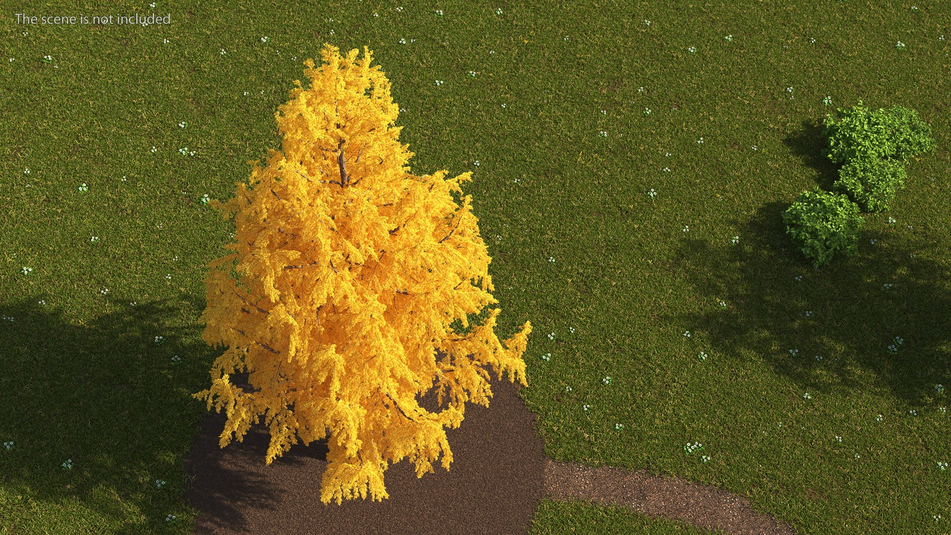 Tall Japanese Larch Tree Yellow 3D Model - TurboSquid 1859956
