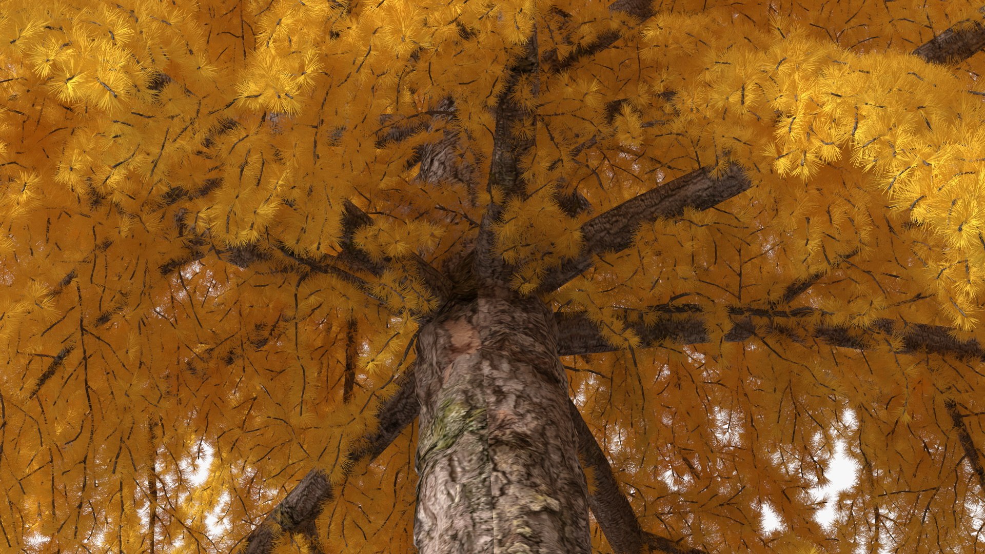 Tall Japanese Larch Tree Yellow 3D Model - TurboSquid 1859956