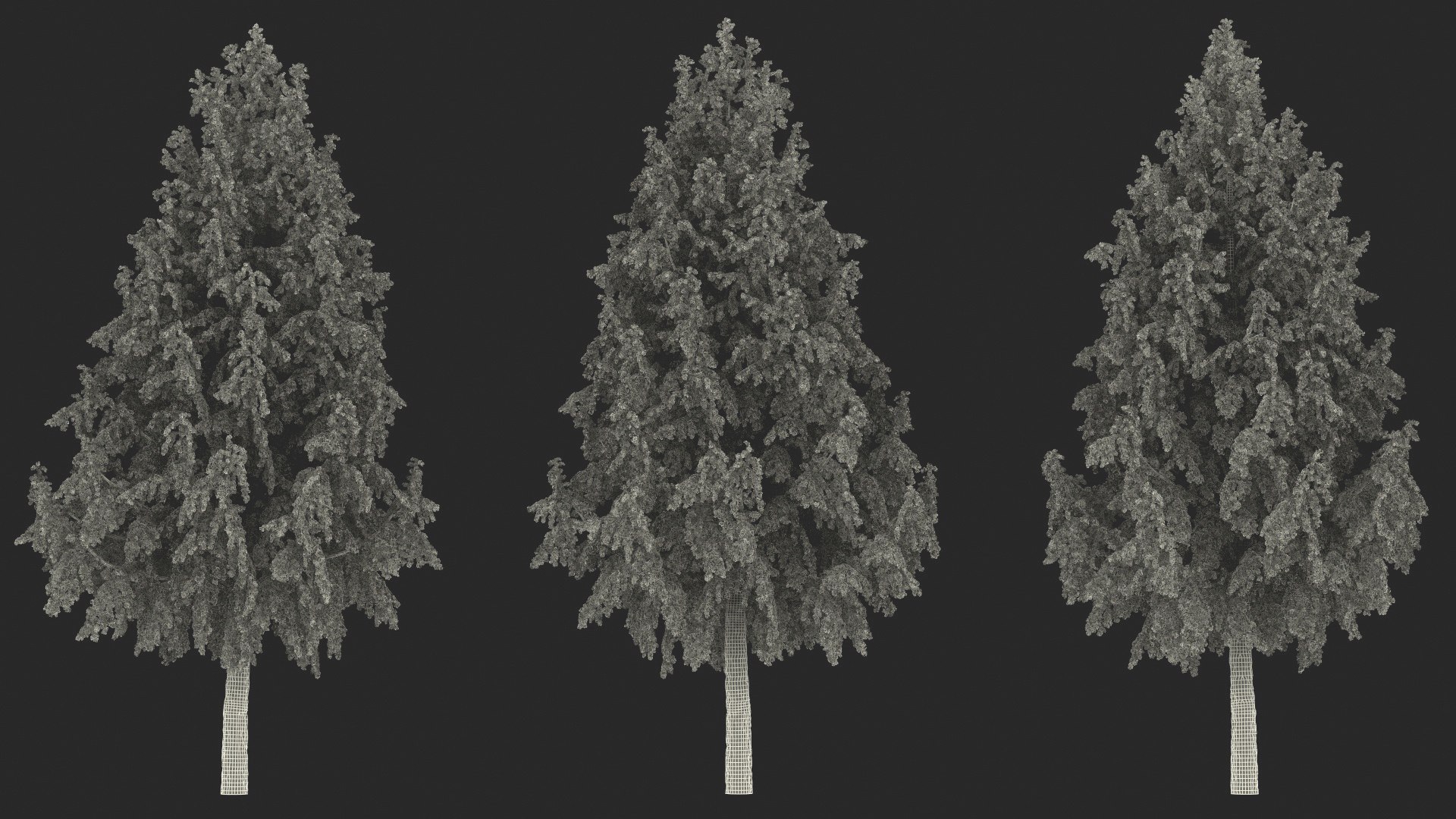 Tall Japanese Larch Tree Yellow 3D Model - TurboSquid 1859956