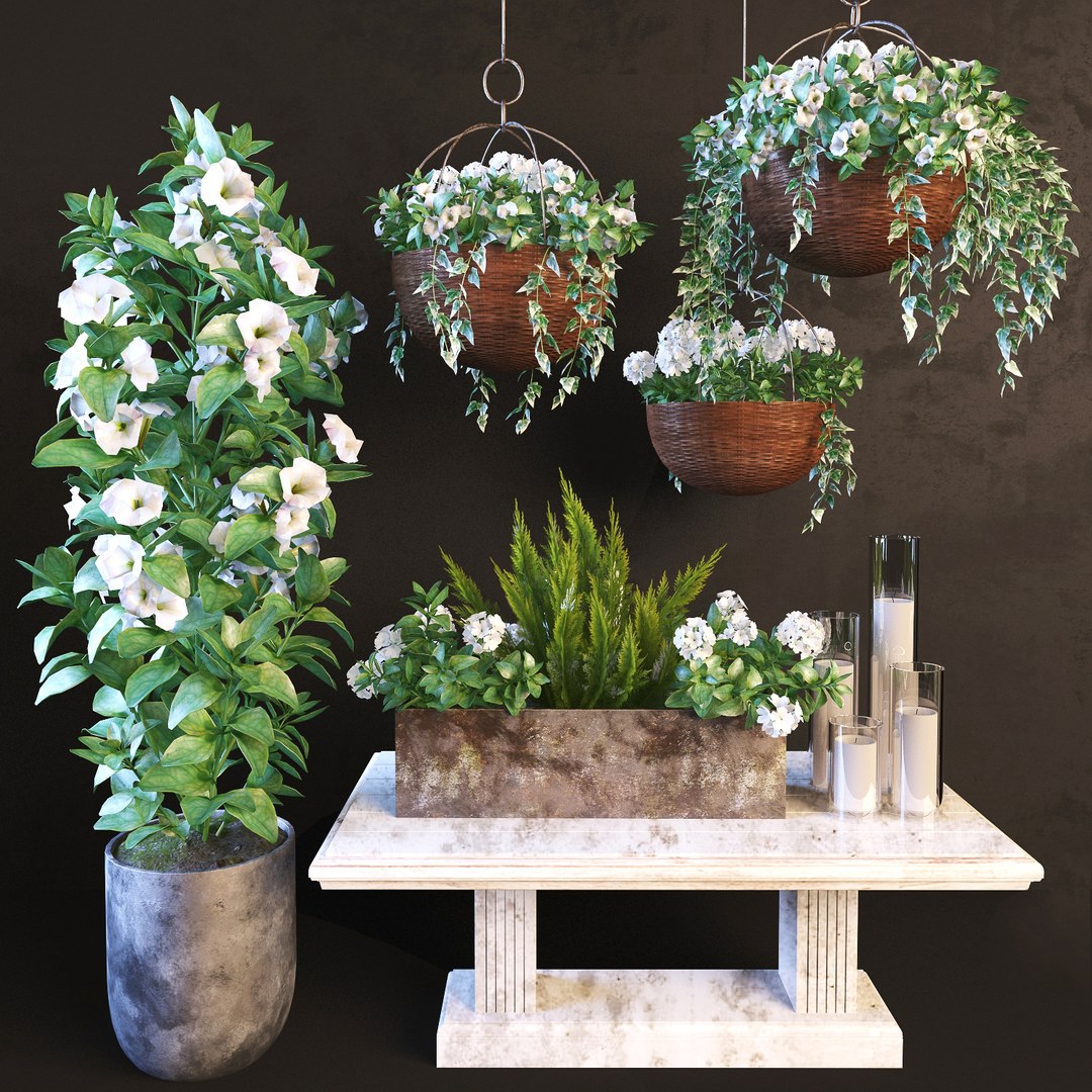 3D Model Flower Pot - TurboSquid 1274814